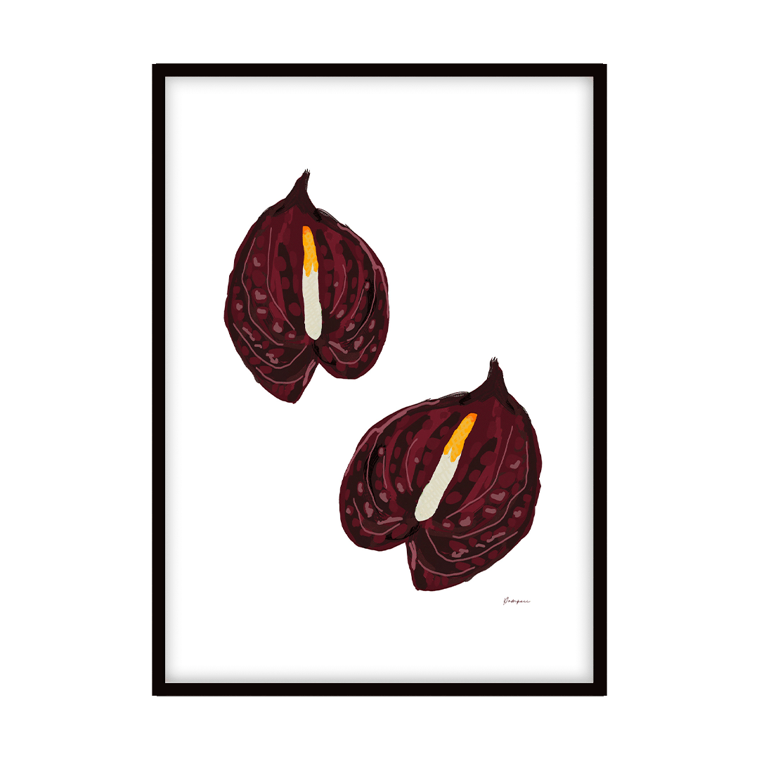 Rossa IV – Pompeii Home